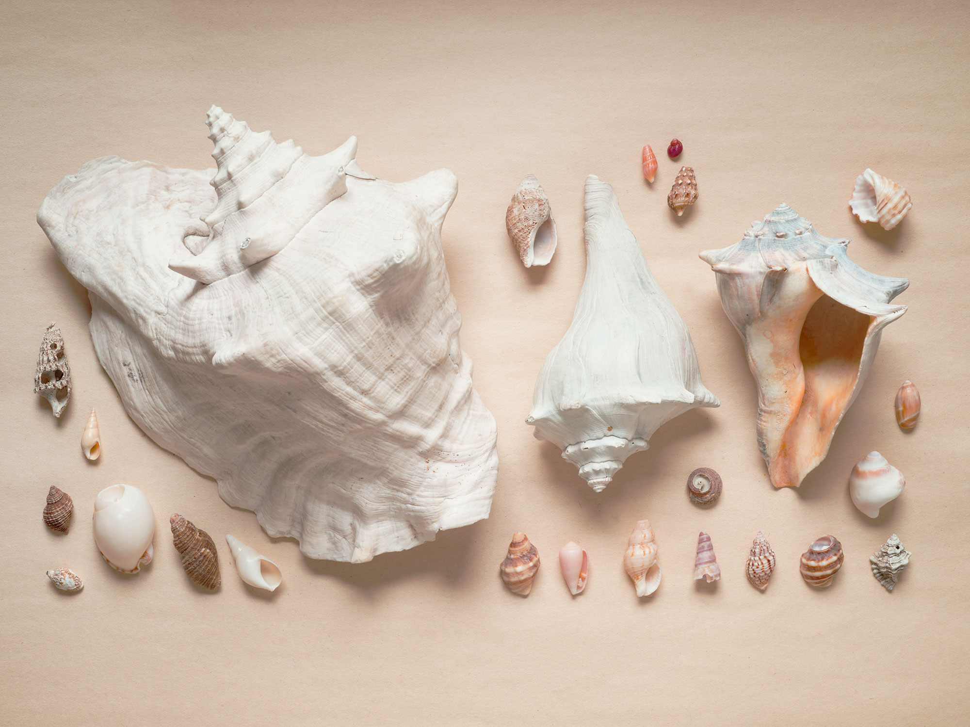 Ulrika Ekblom Photography